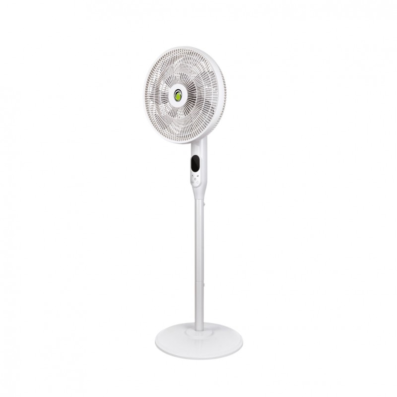 Ceiling, Wall and Pedestal Fans